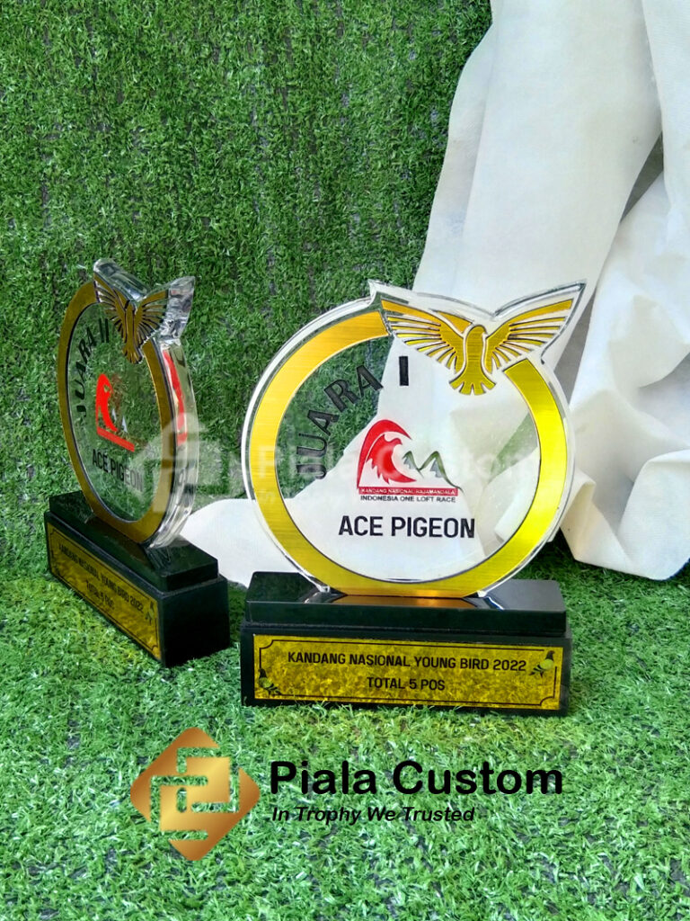 Piala Akrilik - Piala Custom | Jual Piala Gratis Desain